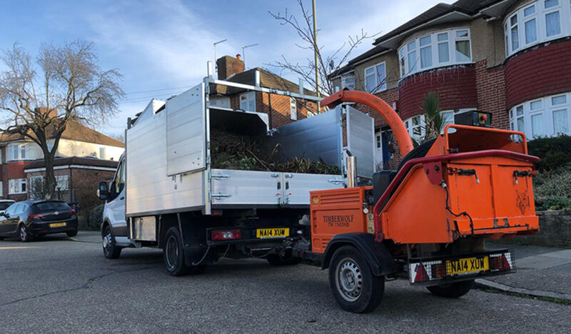 Tree Surgery & Tree Care Experts | Jay Tree Care